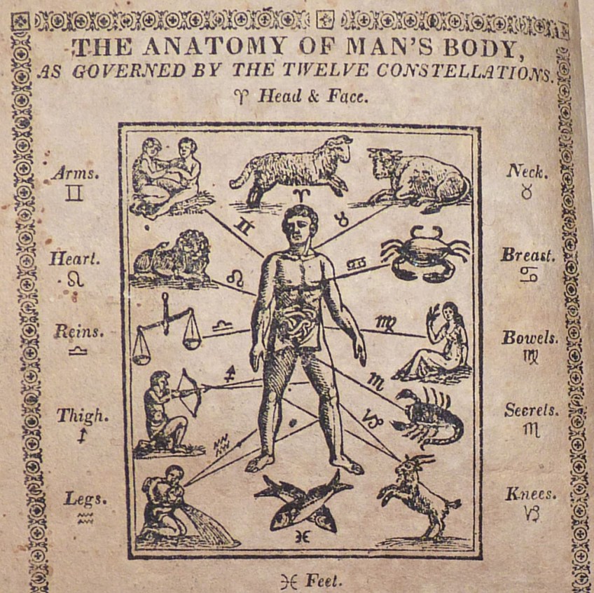 Zodiac anatomy 60 photos - Astrologytoyou.com